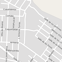 Colonia Álvaro Obregón, 28134, Tecoman, Colima