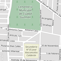 Colonia 5 de Febrero, 49052, Ciudad Guzmán, Jalisco