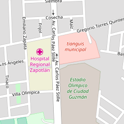 Colonia Santo Domingo, 49078, Ciudad Guzmán, Jalisco