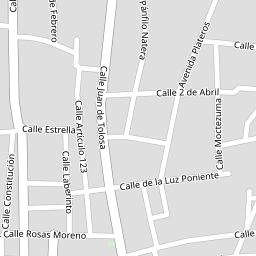 Colonia Las Flores, 99050, Fresnillo, Zacatecas