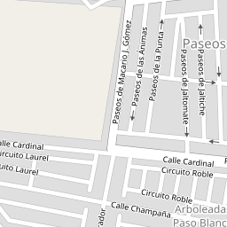 Calles de Paseos de Aguascalientes, Jesús María, Aguascalientes