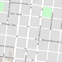 Instituto De Control Vehicular, Centro, Monterrey