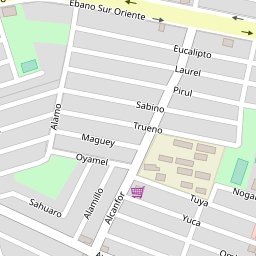 Colonia Metroplex 1, 66612, Ciudad Apodaca, Nuevo León