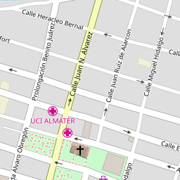 Colonia Iguala de La Independencia Centro, 40000, Iguala de la ...